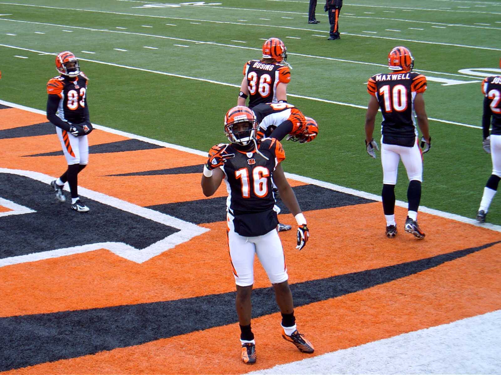 Cincinnati Bengals Wallpapers (20 images) - WallpaperCat