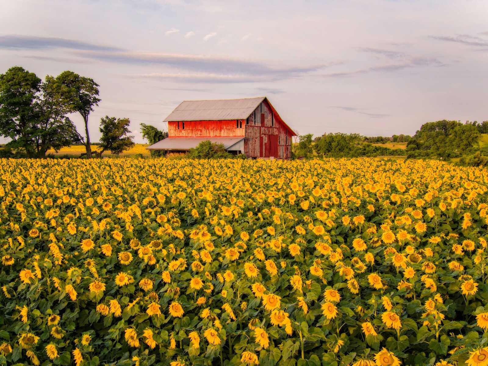 Farm Wallpapers (97 images) - WallpaperCat