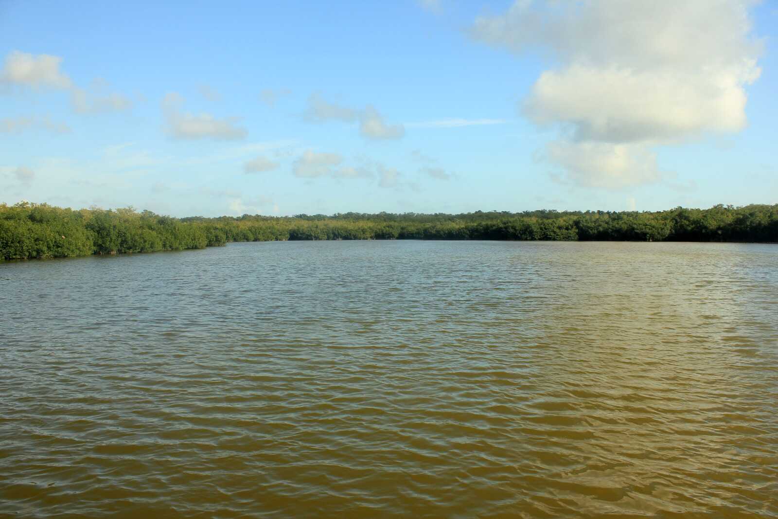 Everglades National Park Wallpapers (51 images) - WallpaperCat