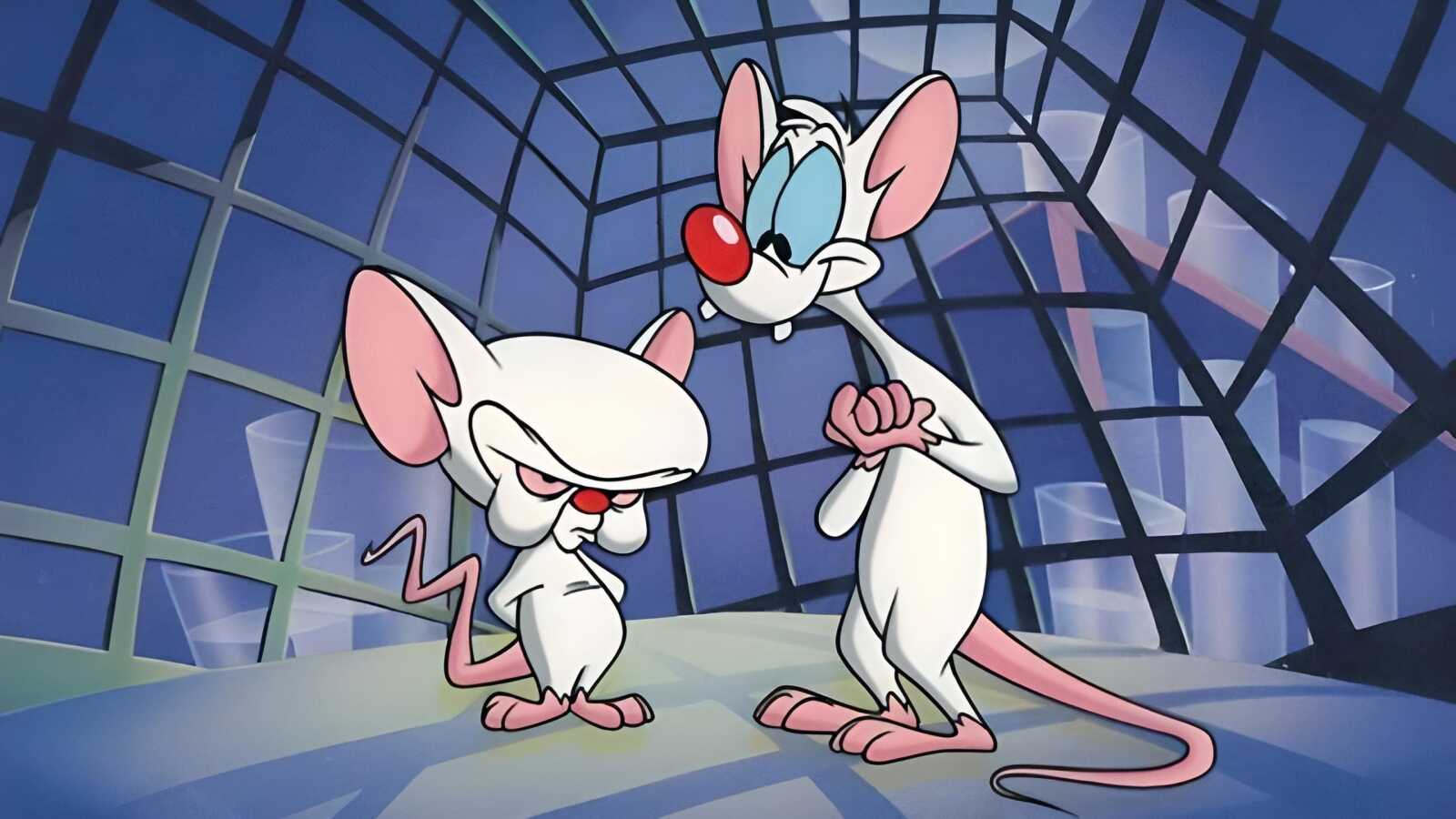 Pinky and the Brain Wallpapers (32 images) - WallpaperCat