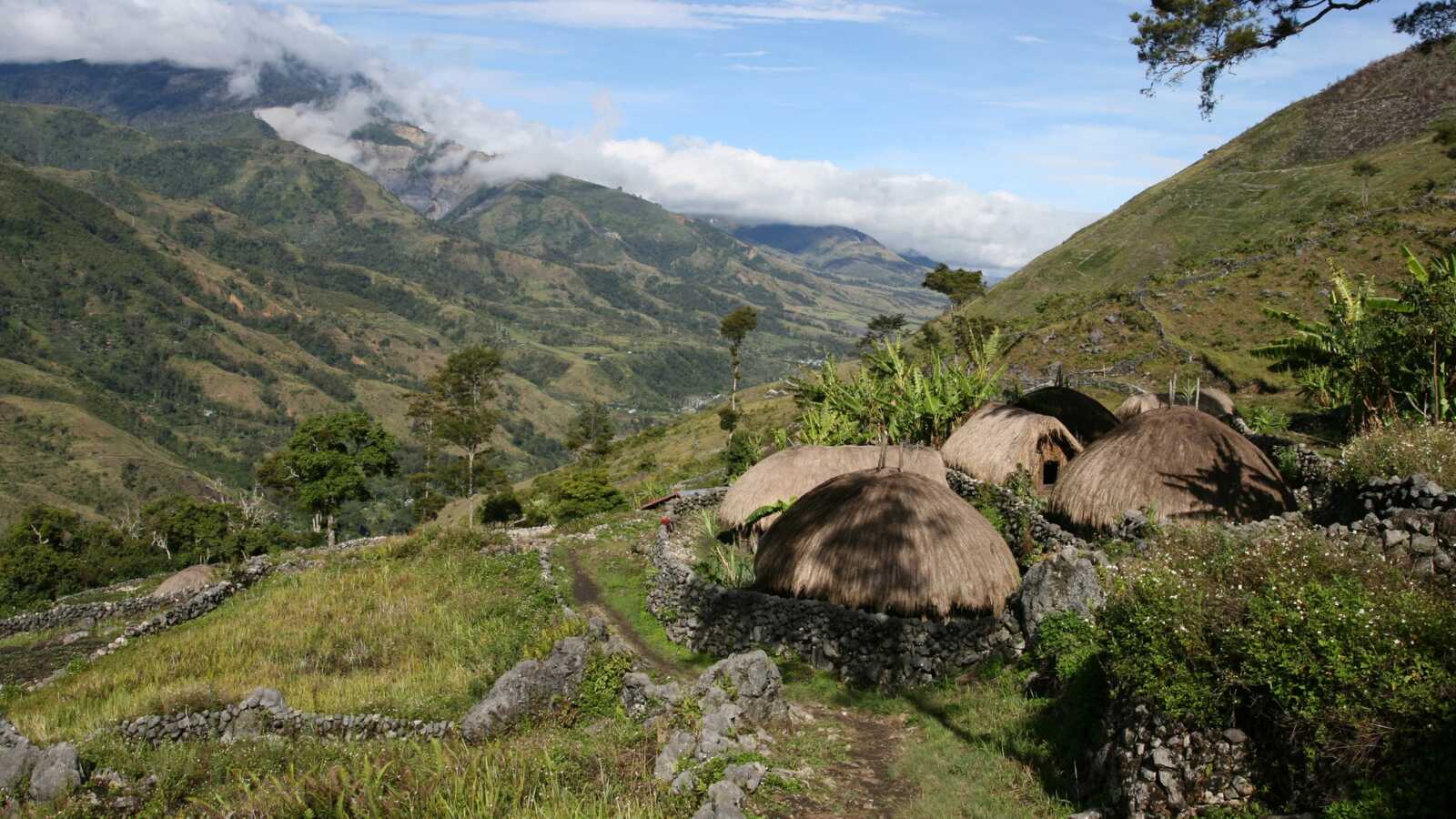 Papua New Guinea Wallpapers (19 images) - WallpaperCat