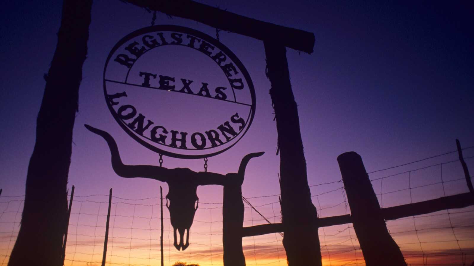 Texas Wallpapers (43 images) - WallpaperCat