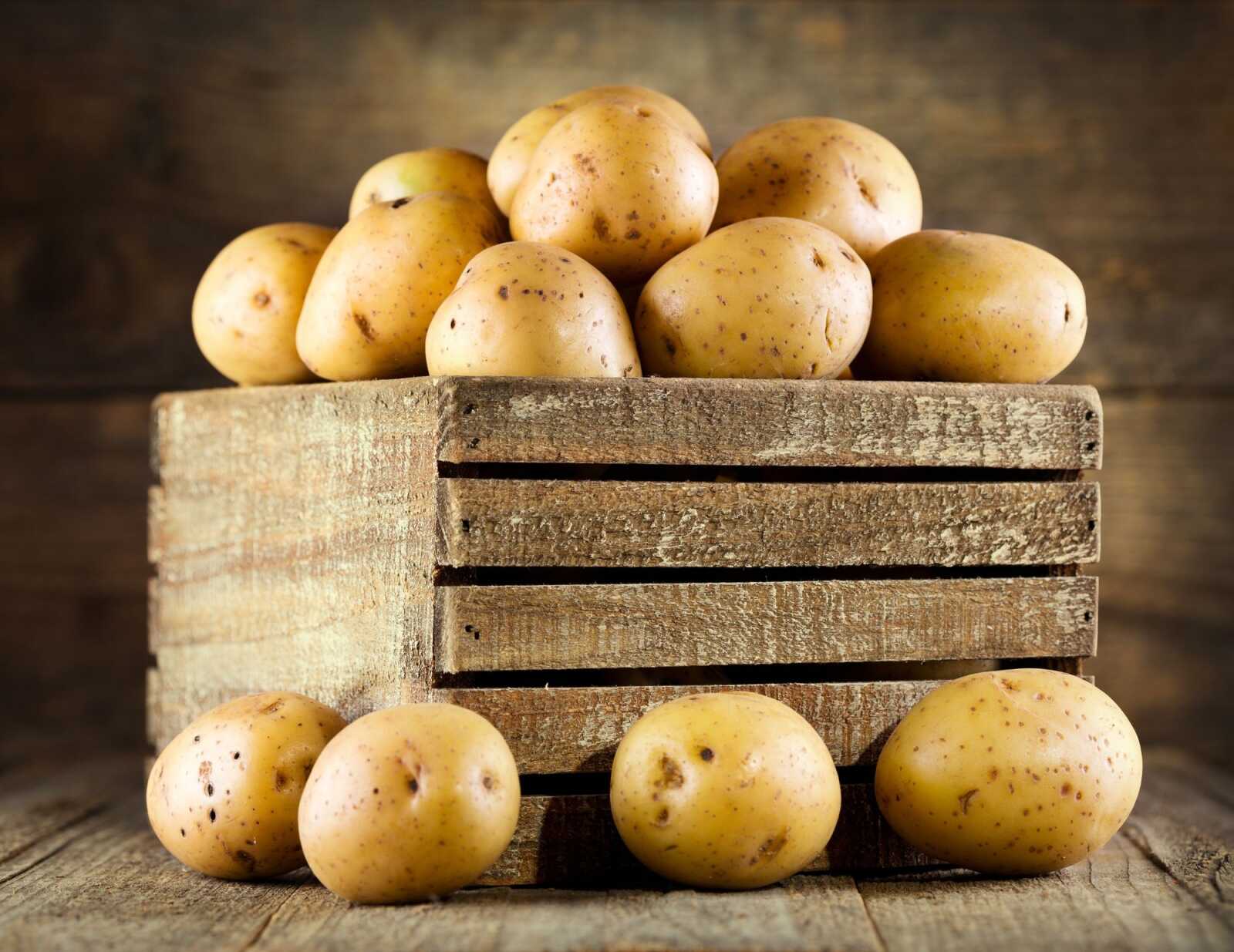 Potato Wallpapers (80 images) - WallpaperCat
