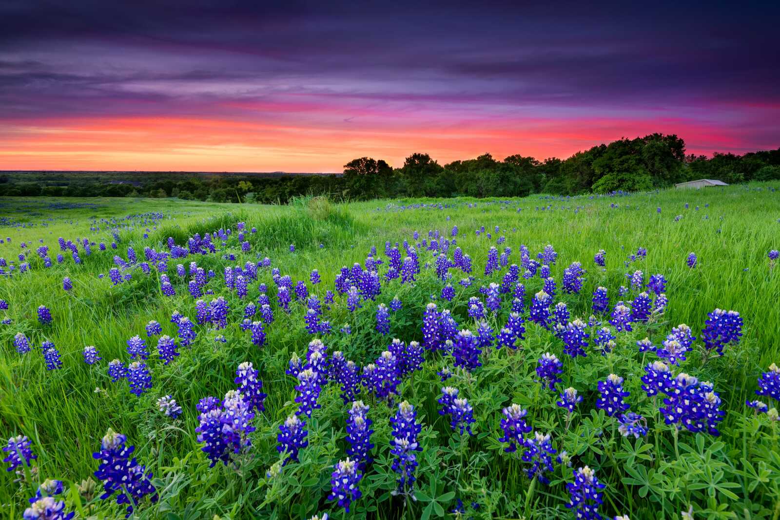Texas Hill Country Wallpapers (41 images) - WallpaperCat