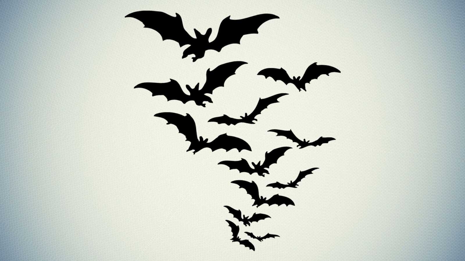 Bat Wallpapers (31 images) - WallpaperCat