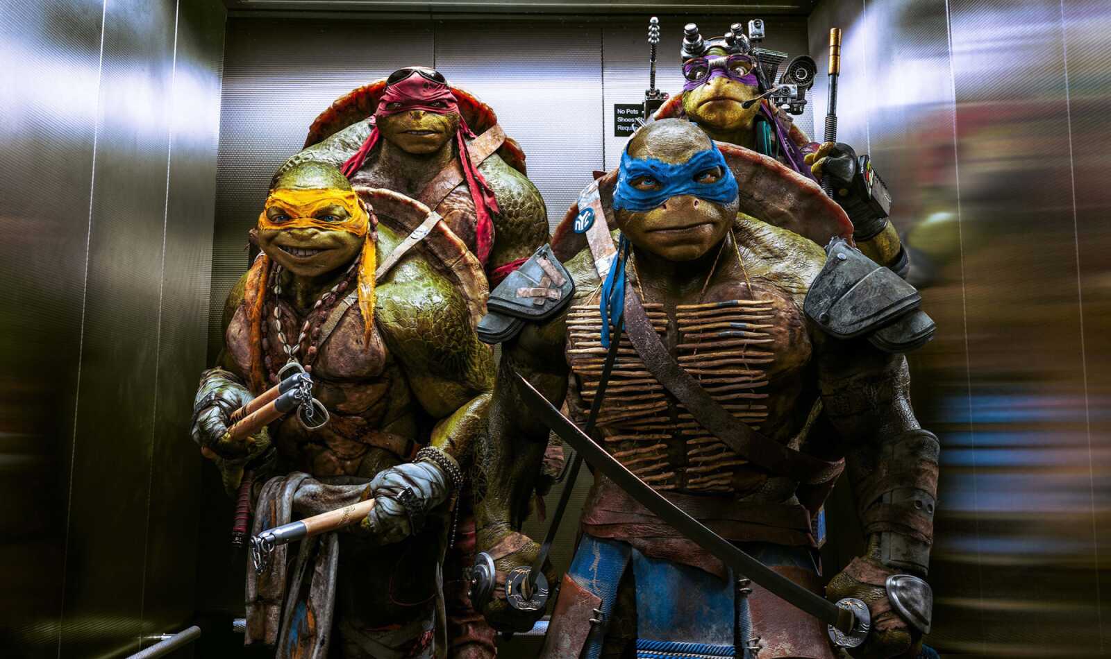 Mutant Ninja Turtles Wallpapers (34 images) - WallpaperCat