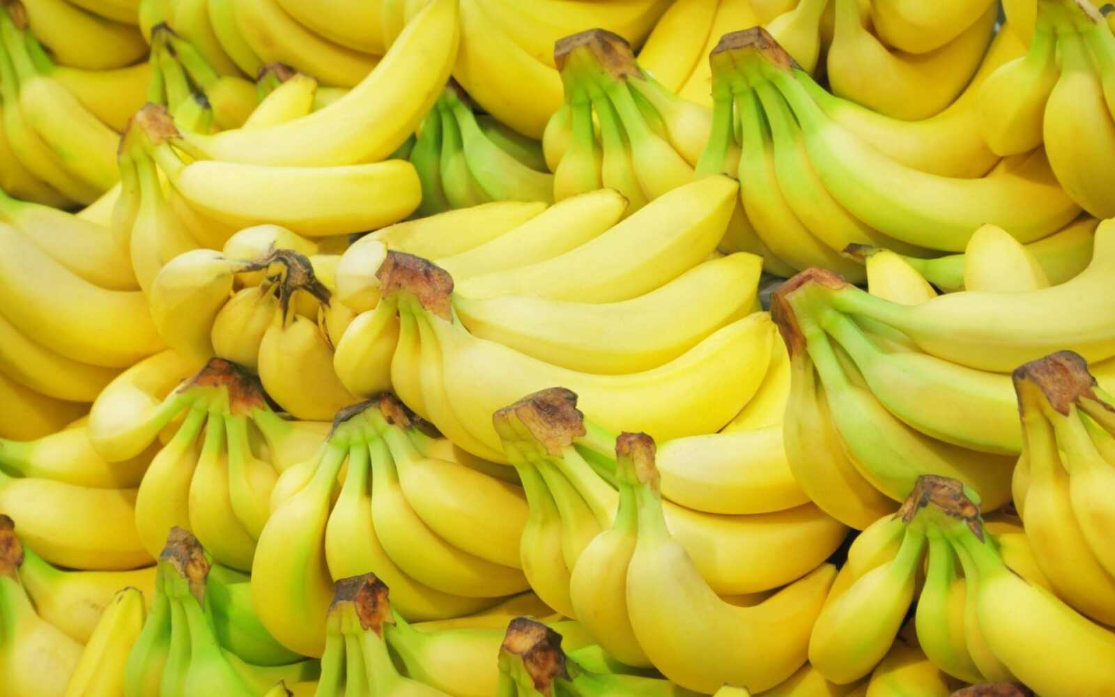 Banana Wallpapers (27 images) - WallpaperCat