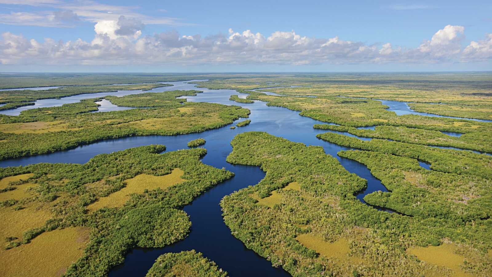 Everglades National Park Wallpapers (51 images) - WallpaperCat