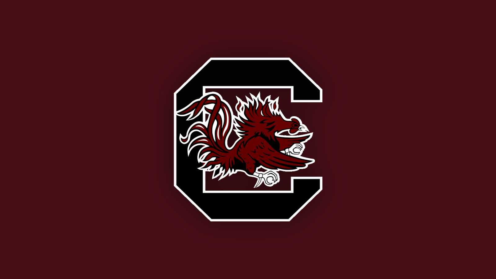 Gamecocks Wallpapers (31 images) - WallpaperCat