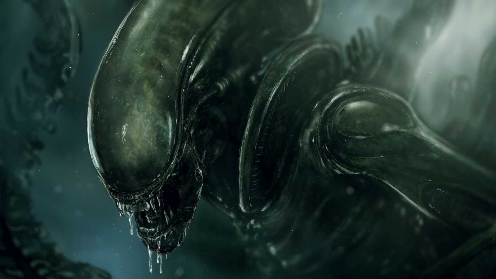 Alien (Movie) Wallpapers (26 images) - WallpaperCat