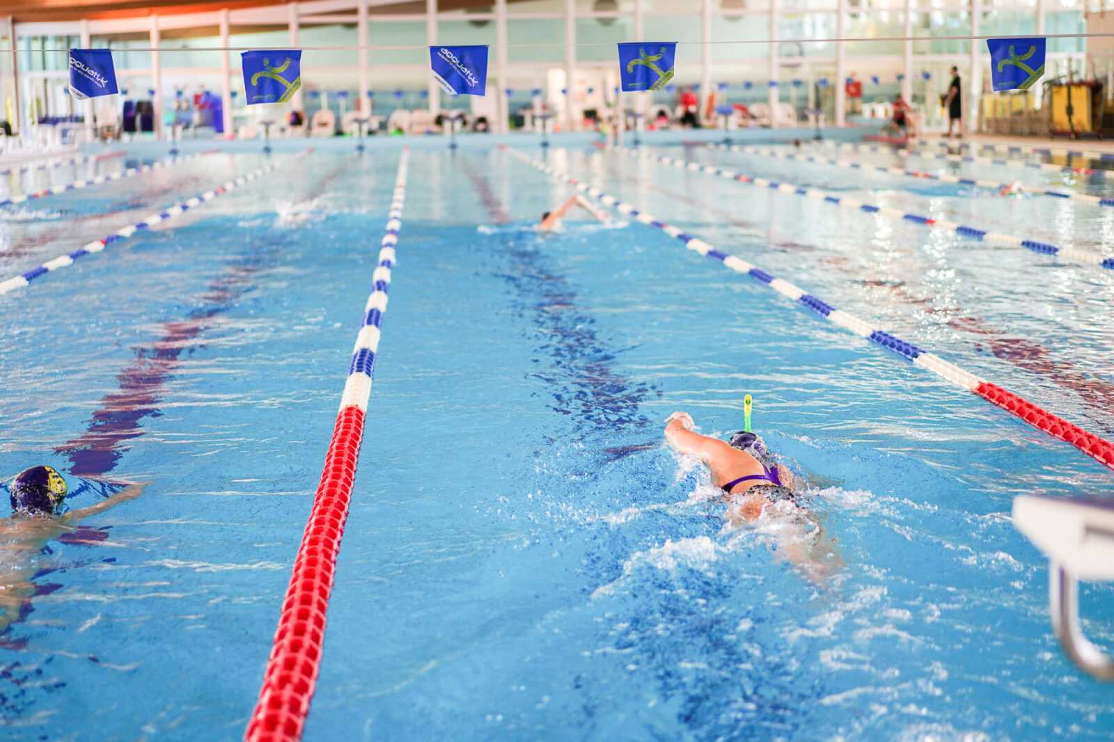 Swimming Wallpapers (43 images) - WallpaperCat