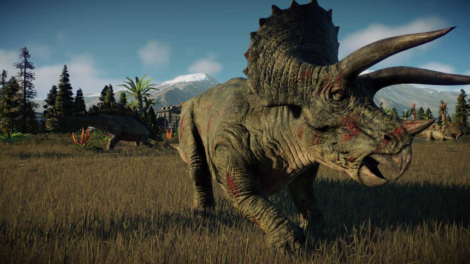 Triceratops Wallpapers (22 images) - WallpaperCat