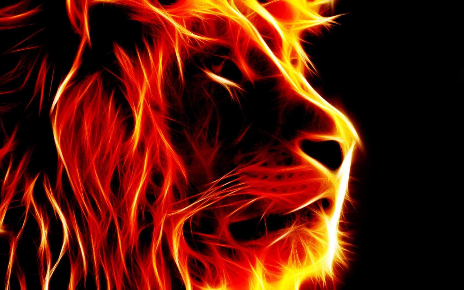 Fire Wallpapers (69 images) - WallpaperCat