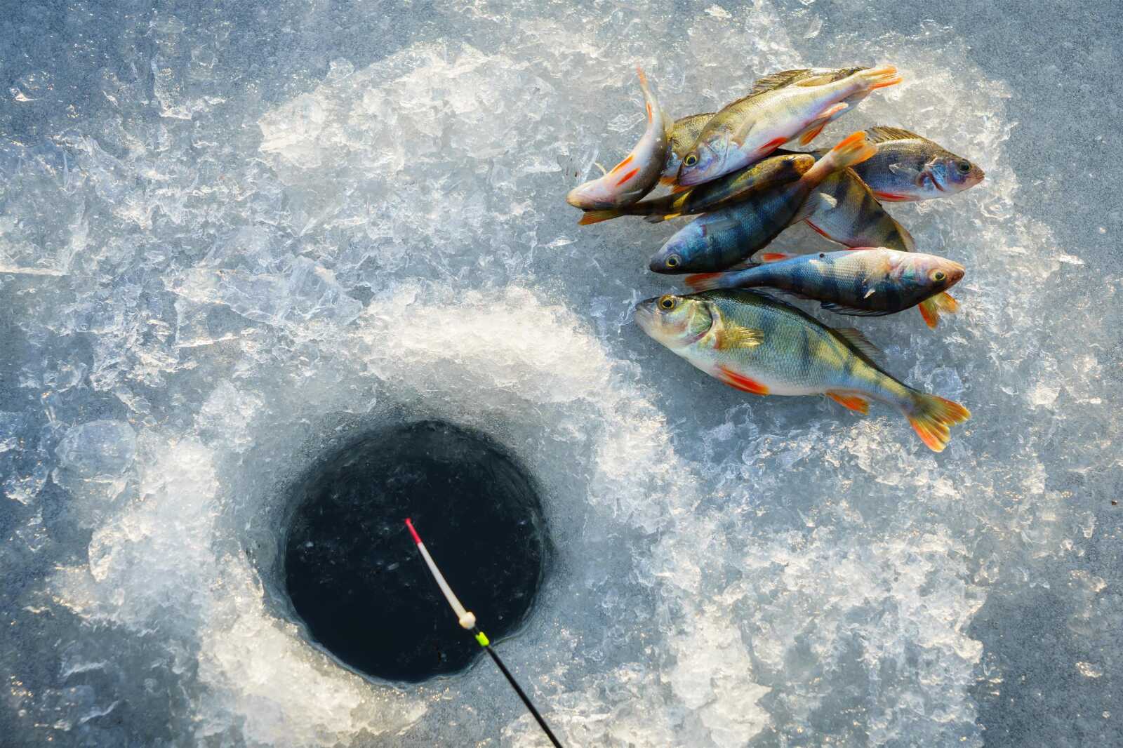 Ice Fishing Wallpapers (24 images) - WallpaperCat