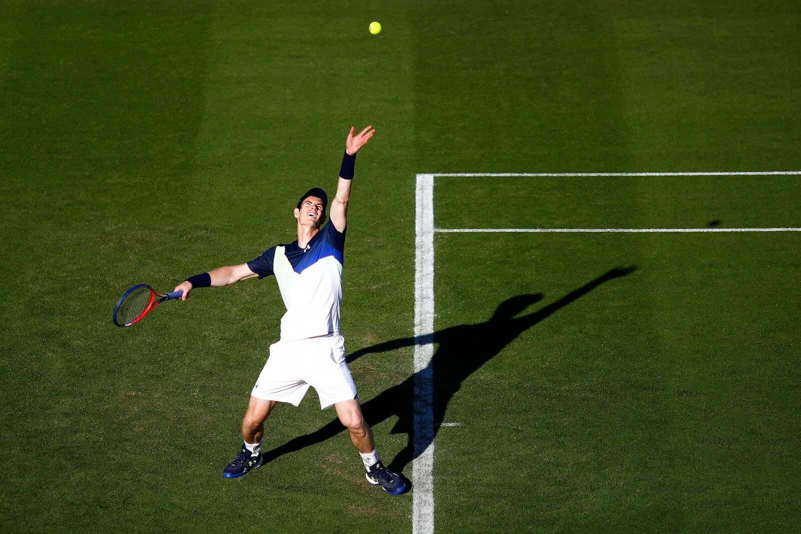 Andy Murray Wallpapers (42 images) - WallpaperCat