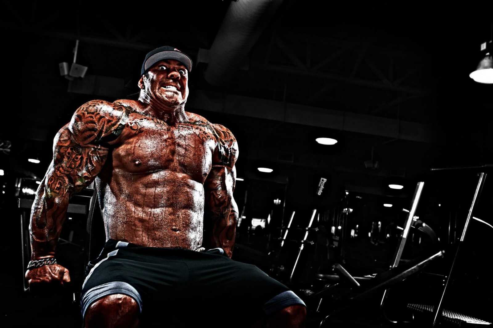 Bodybuilding Wallpapers (38 images) - WallpaperCat