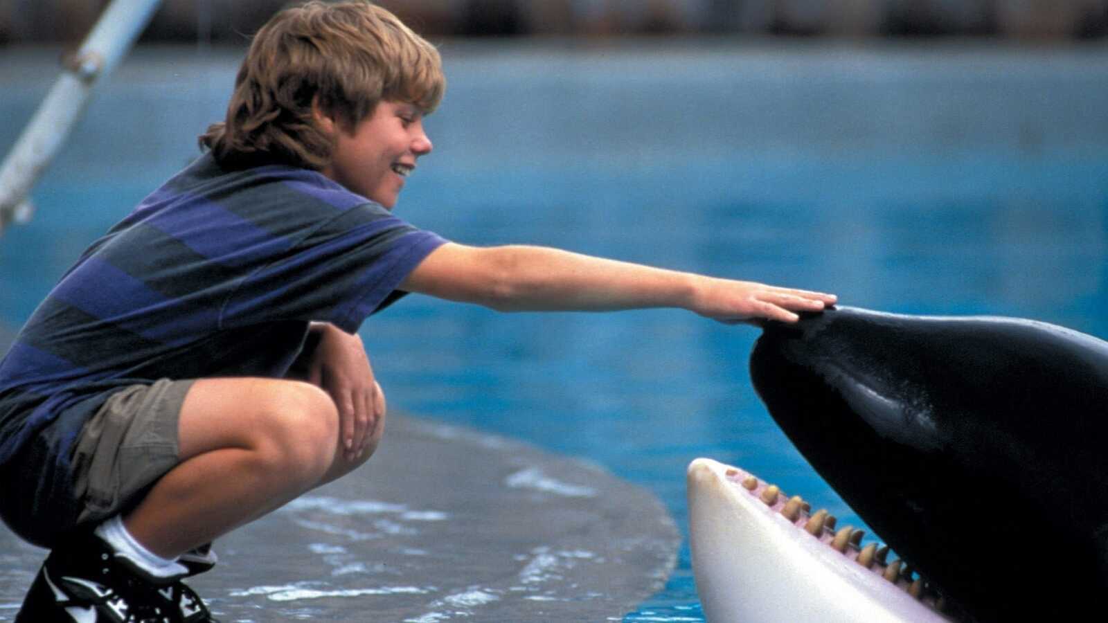 Free Willy Wallpapers (23 images) - WallpaperCat