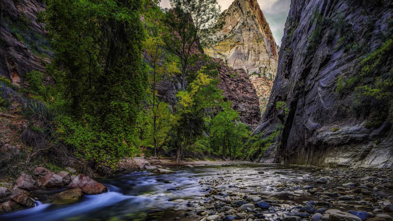 Zion National Park Wallpapers (67 images) - WallpaperCat