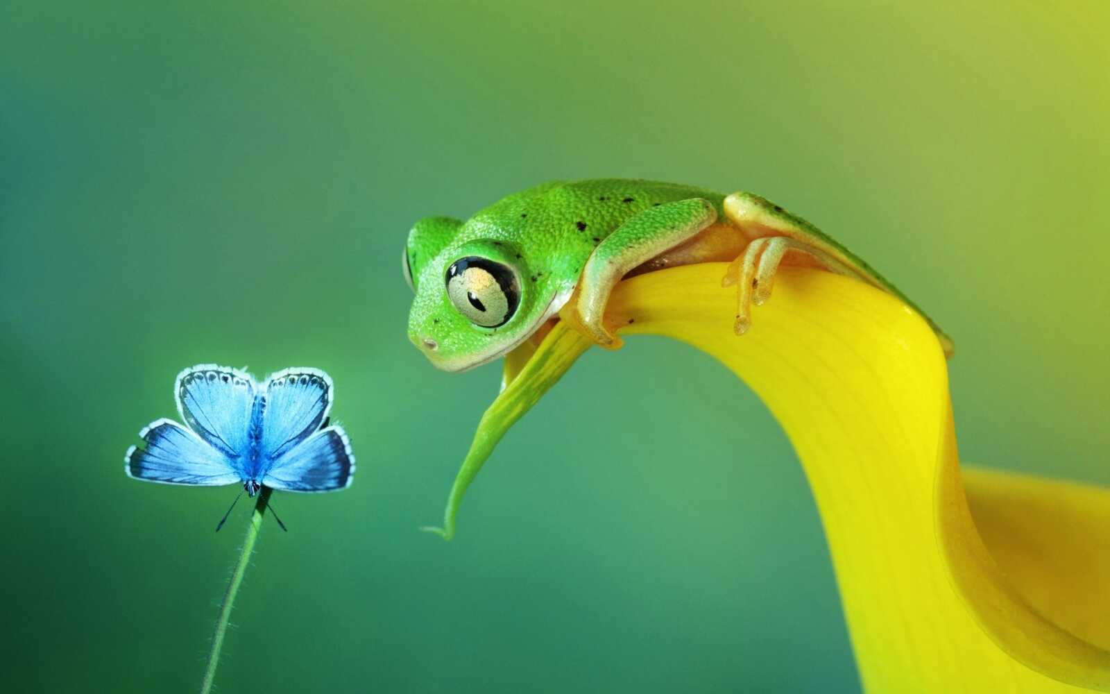 Biology Wallpapers (42 images) - WallpaperCat