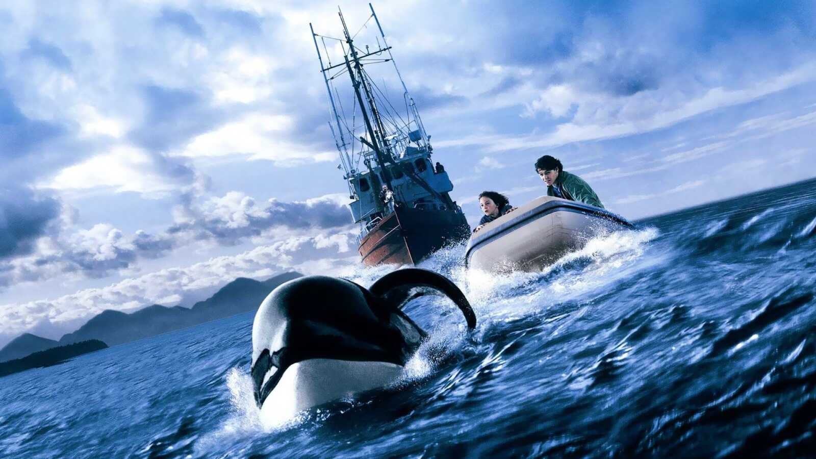 Free Willy Wallpapers (23 images) - WallpaperCat