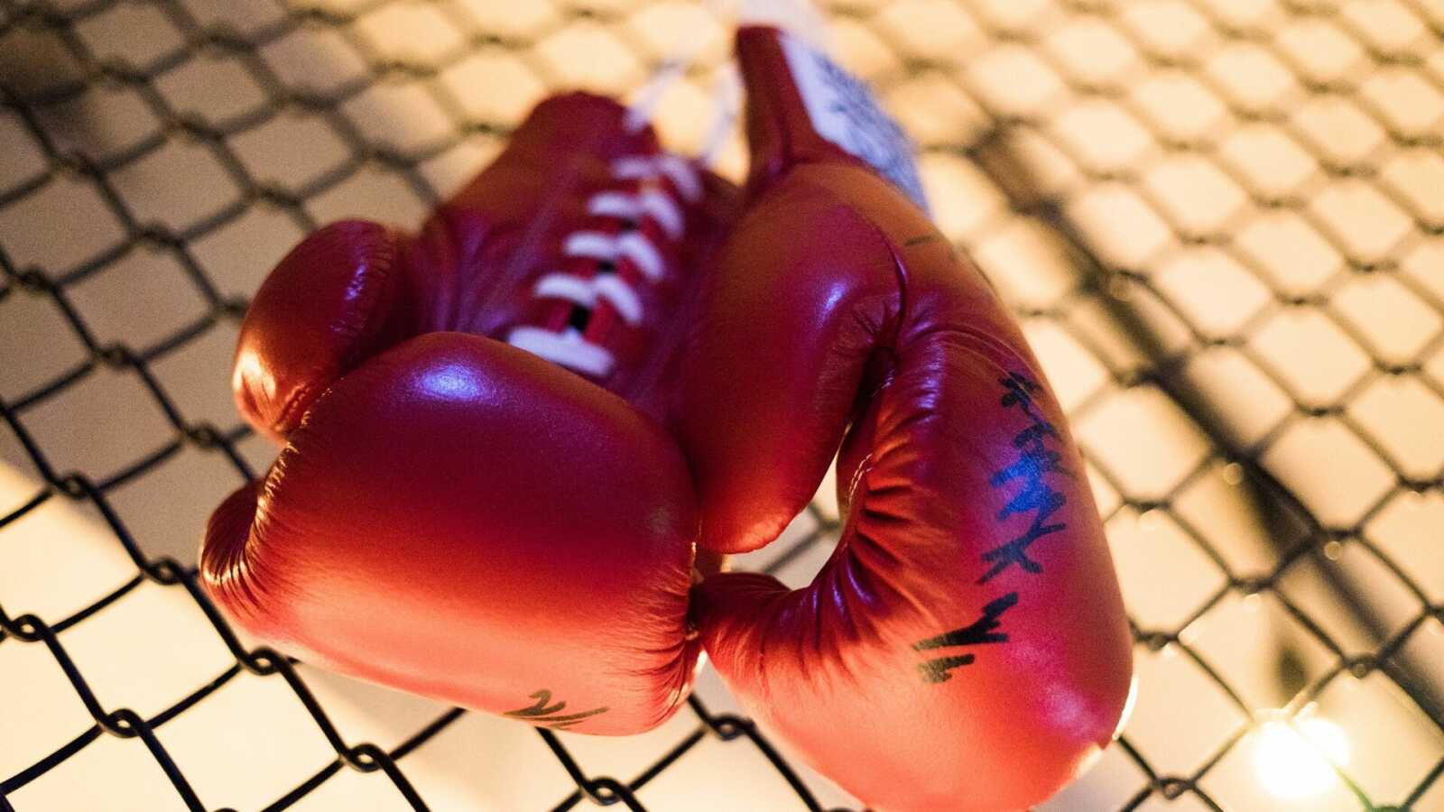 Boxing Wallpapers (28 images) - WallpaperCat