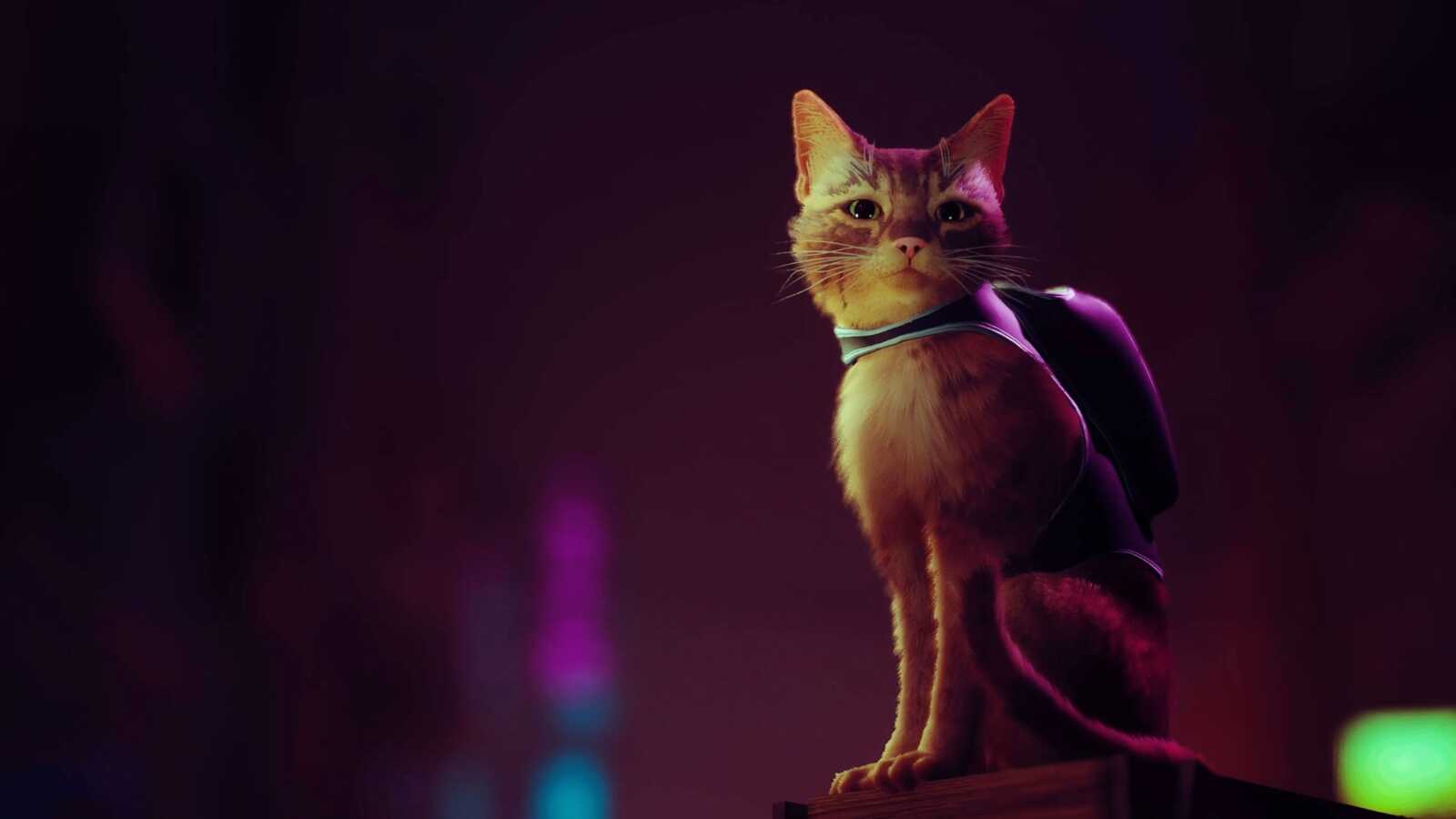 Stray (Game) Wallpapers (29 images) - WallpaperCat