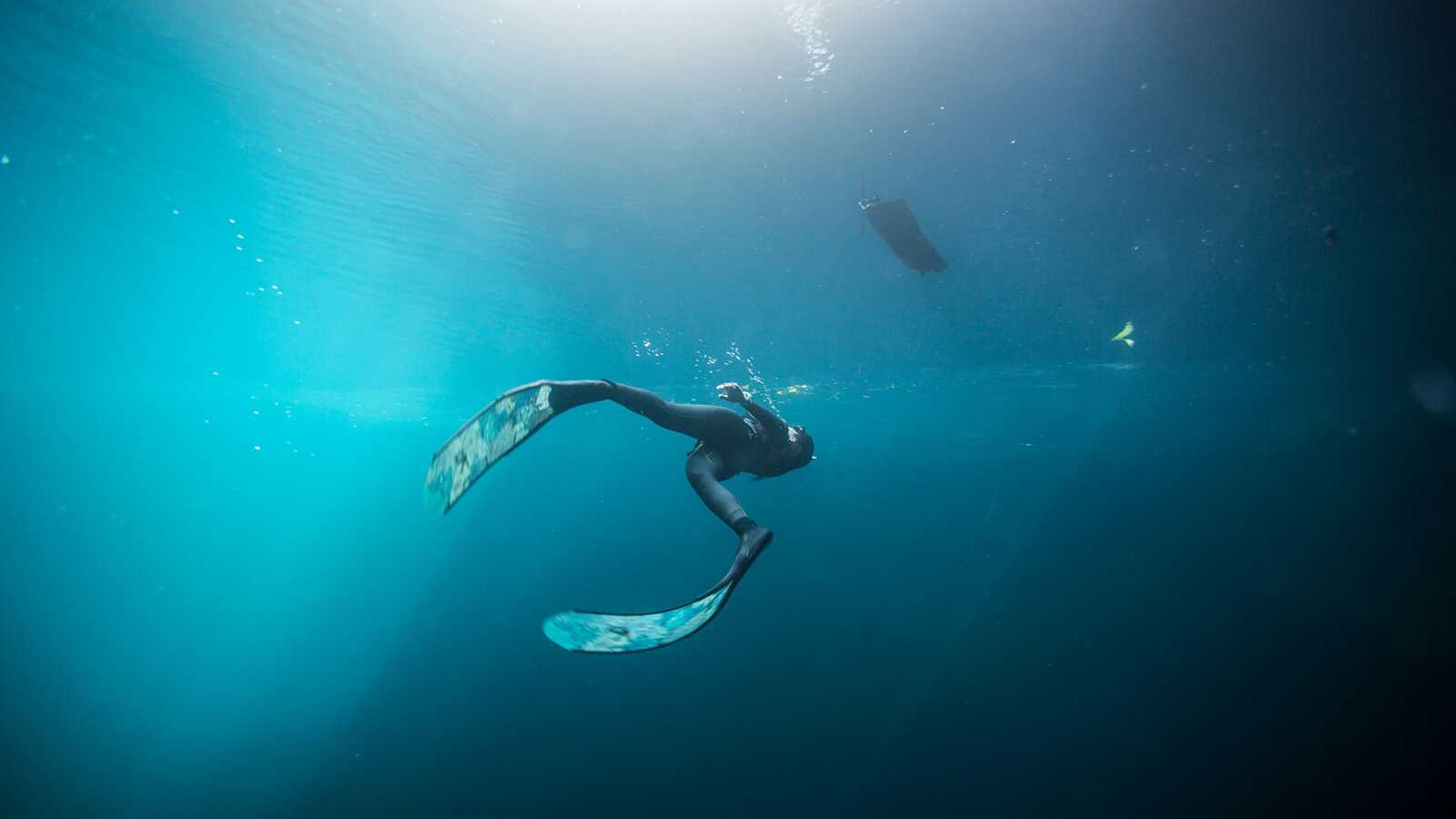 Freediving Wallpapers (43 images) - WallpaperCat