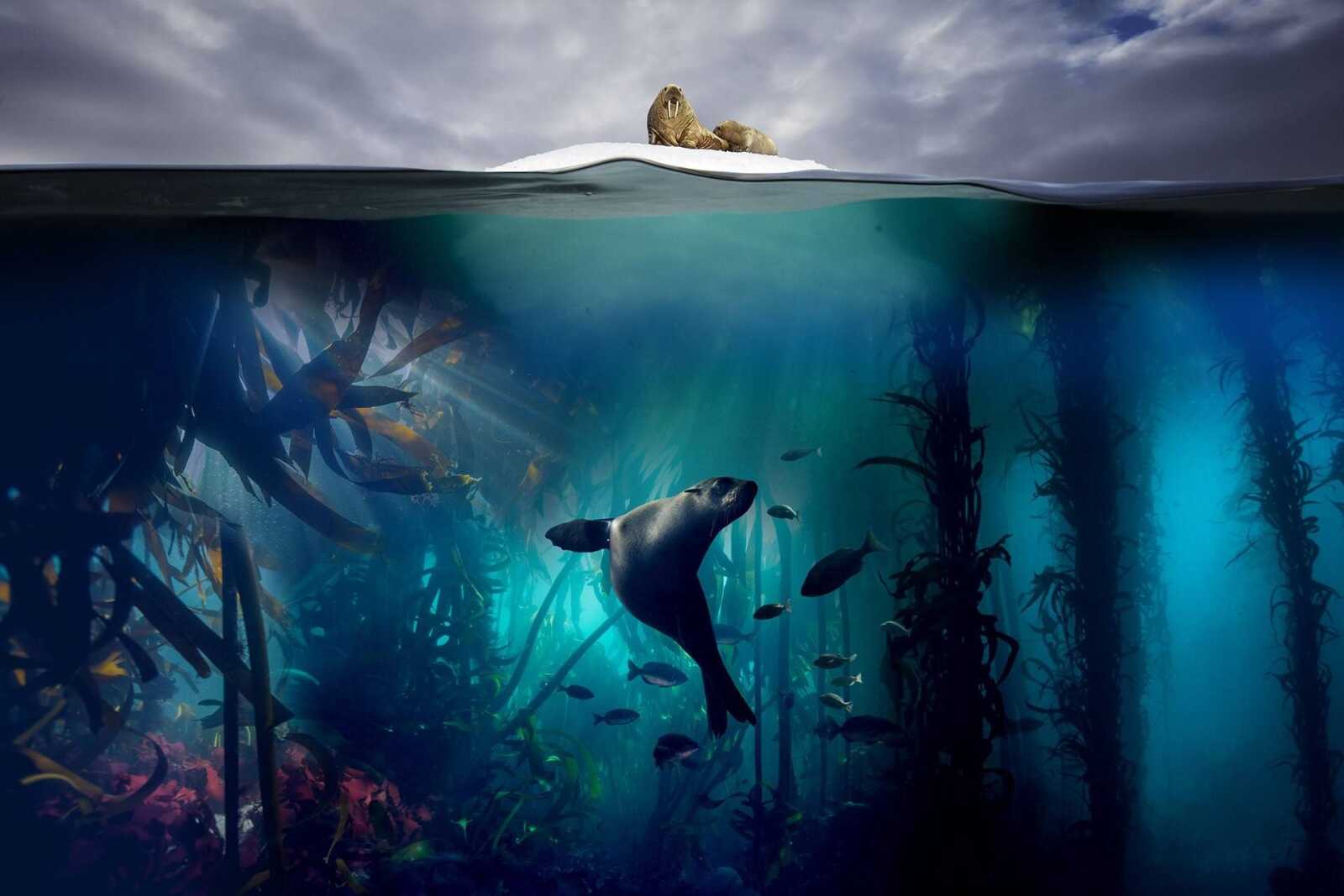 Biology Wallpapers (42 images) - WallpaperCat