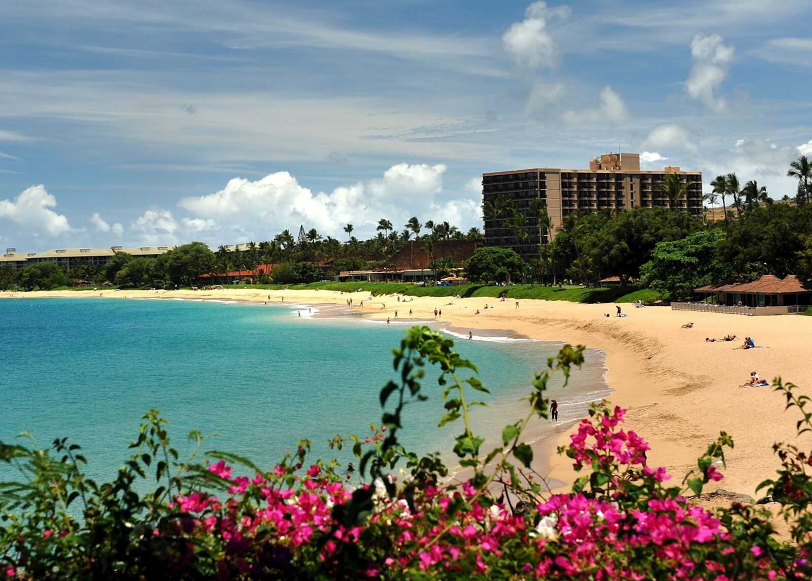 Lahaina Wallpapers (25 images) - WallpaperCat