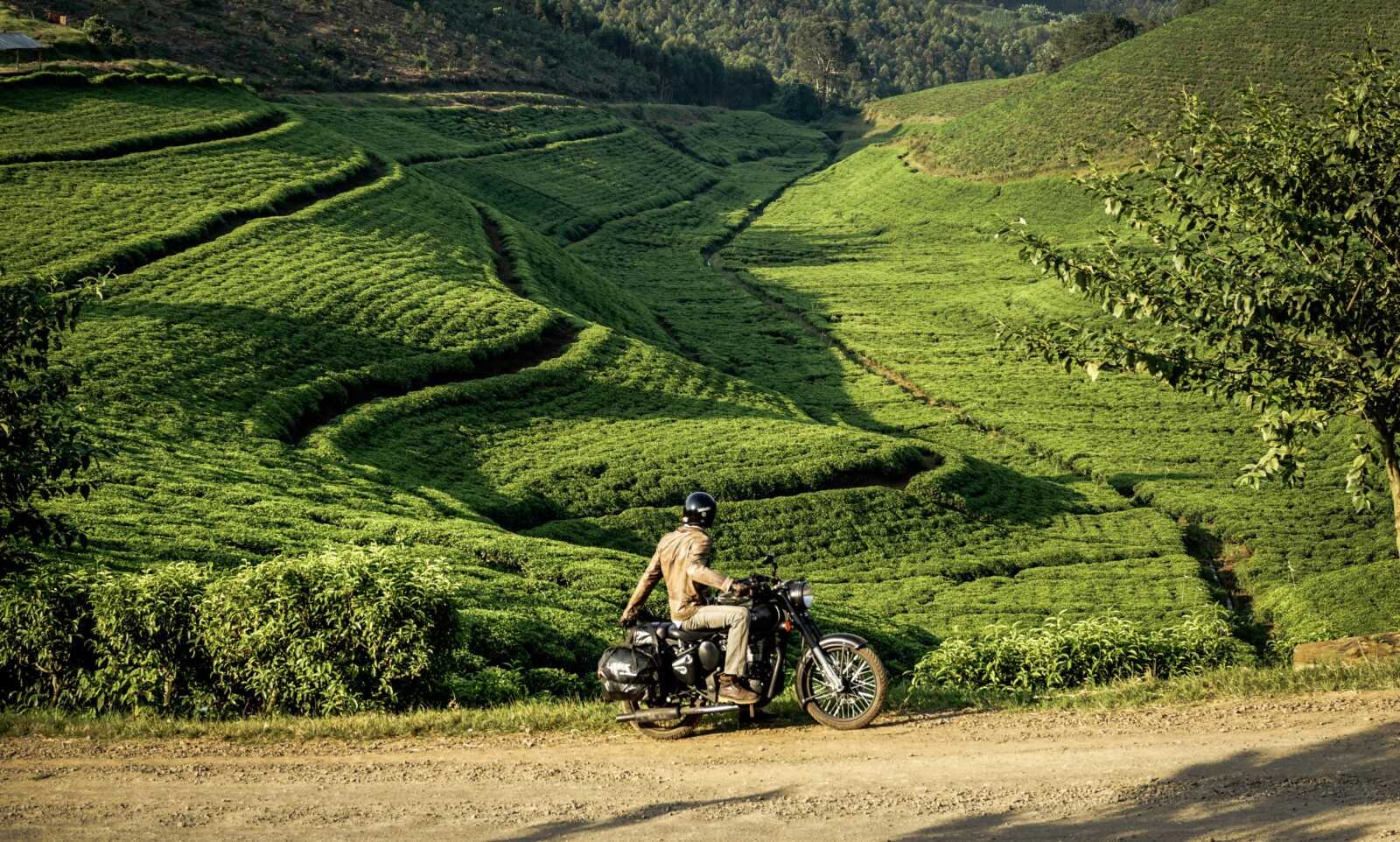 Rwanda Wallpapers (26 images) - WallpaperCat