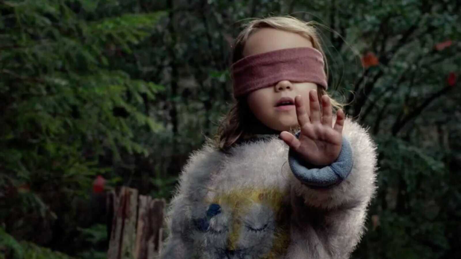 Bird Box (Movie 2018) Wallpapers (14 images) - WallpaperCat