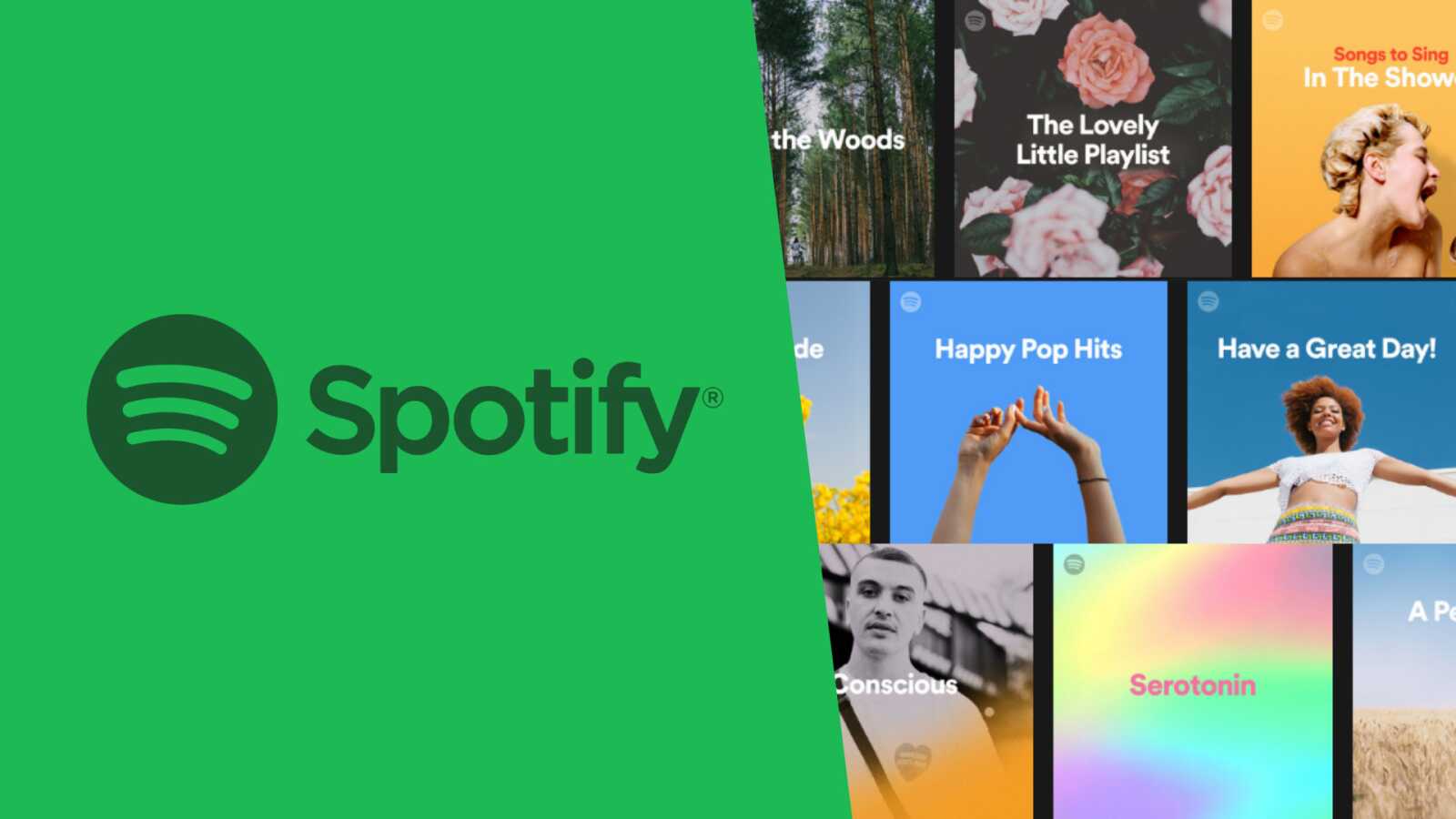 Spotify Wallpapers (43 images) - WallpaperCat