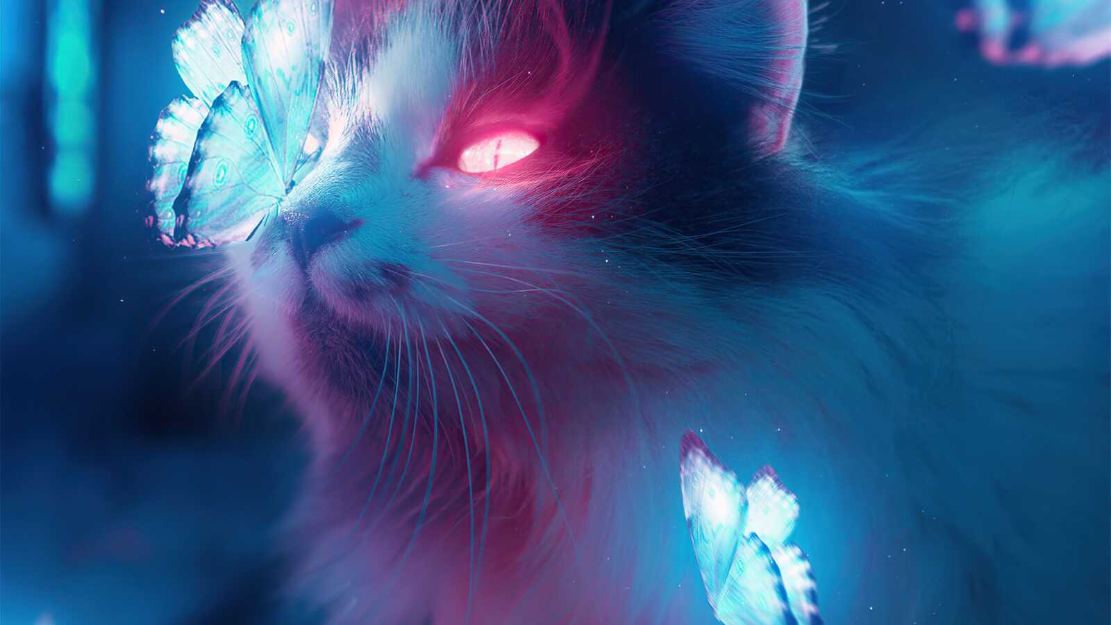 Cat Wallpapers (148 images) - WallpaperCat