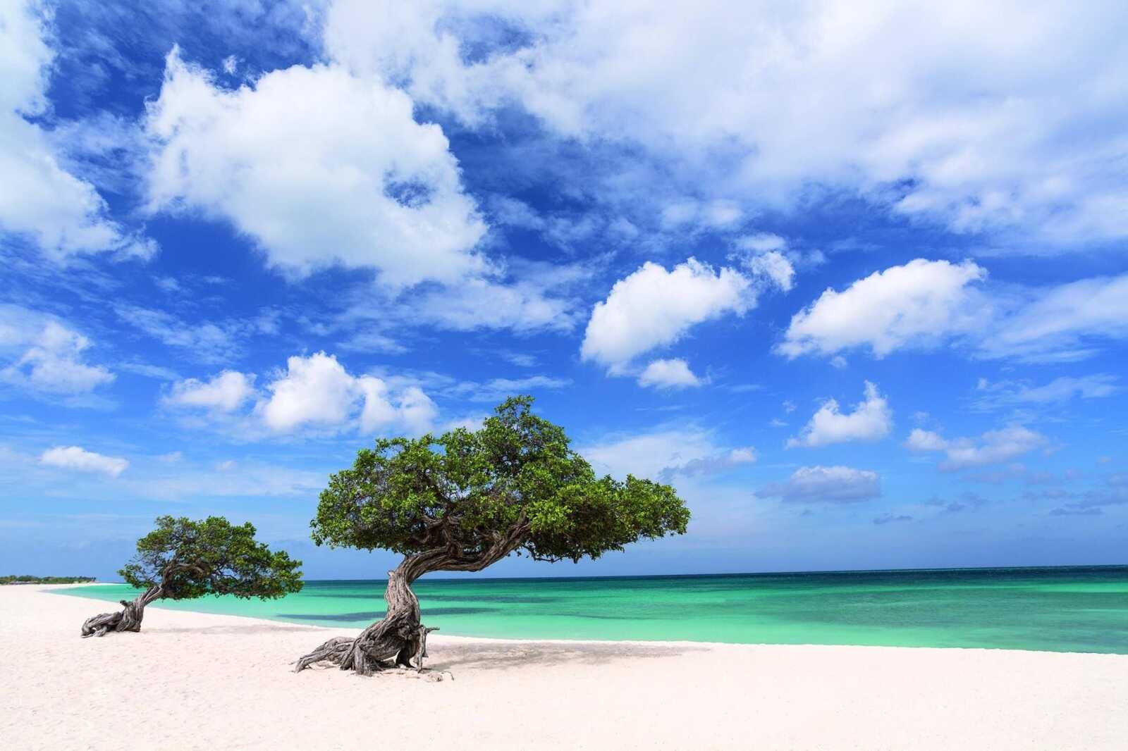 Aruba Island Wallpapers (39 images) - WallpaperCat