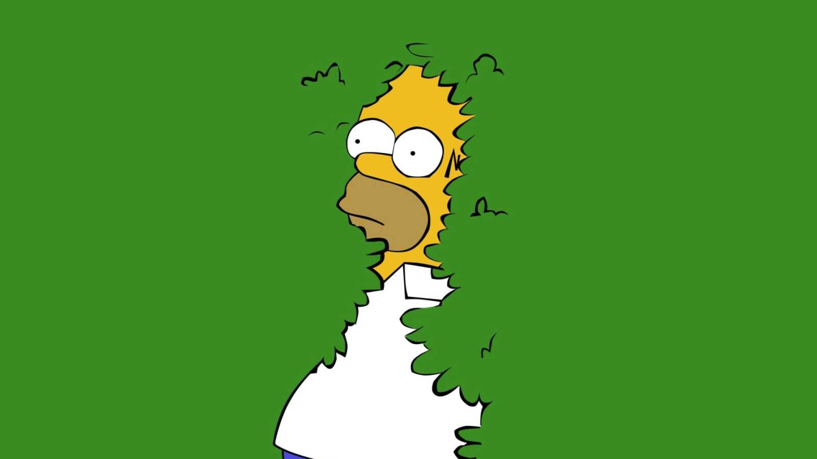 Homer (The Simpsons) Wallpapers (48 images) - WallpaperCat