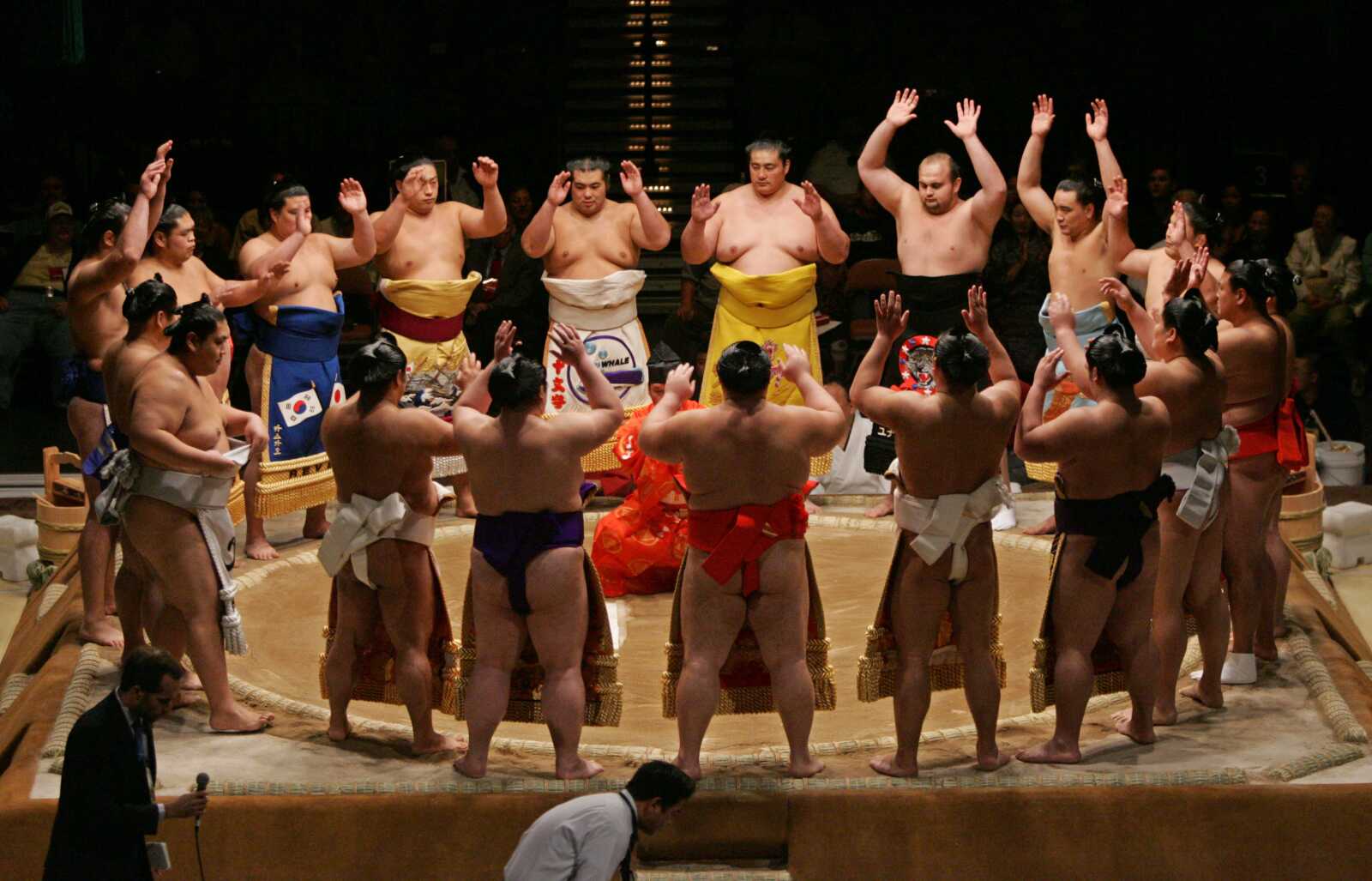 Sumo Wallpapers (29 images) - WallpaperCat