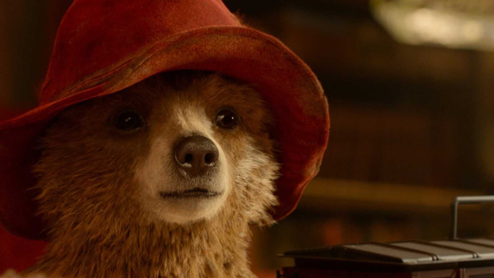Paddington (2014) Wallpapers (26 images) - WallpaperCat