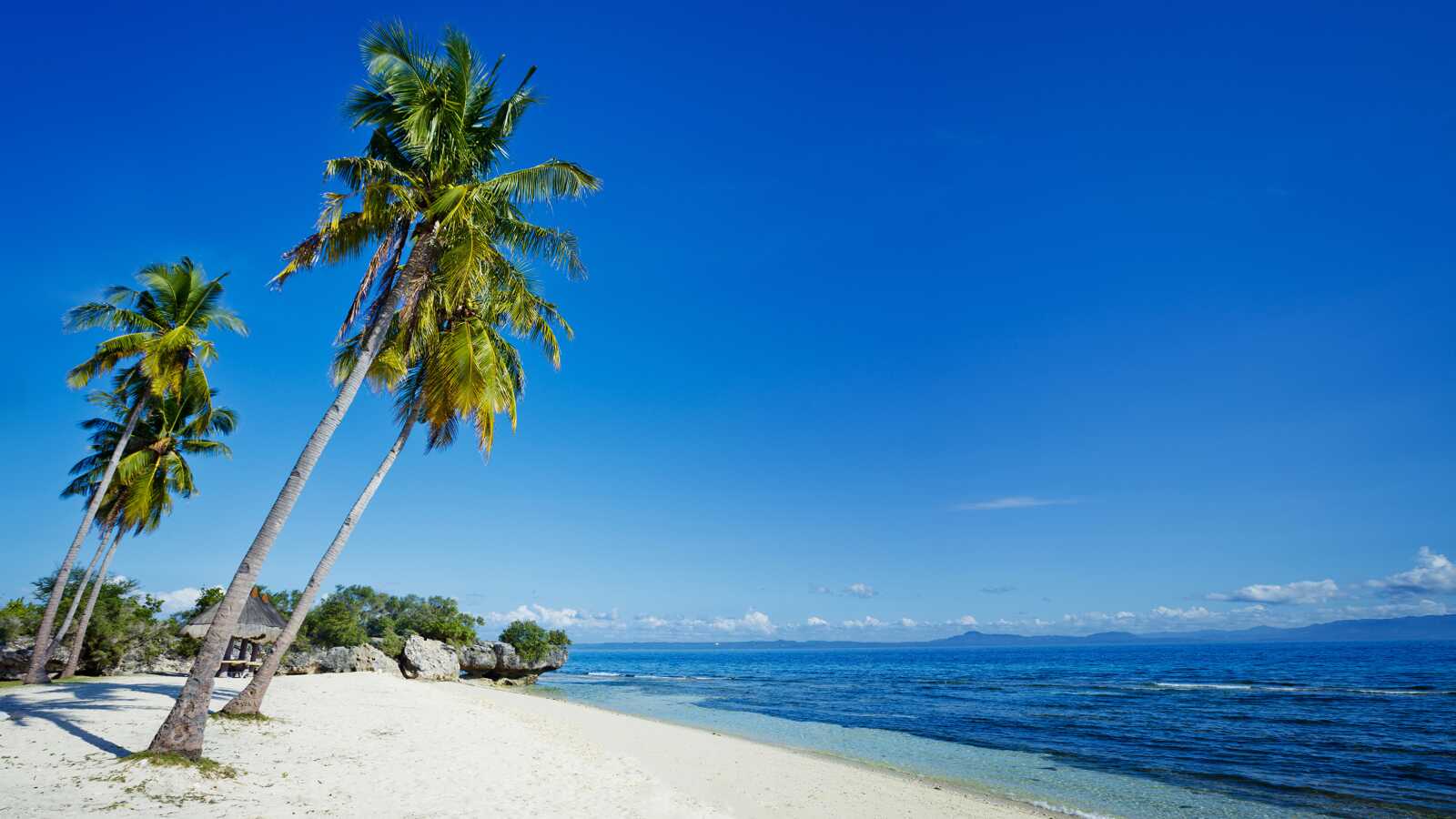 Cebu (Philippines) Wallpapers (29 images) - WallpaperCat
