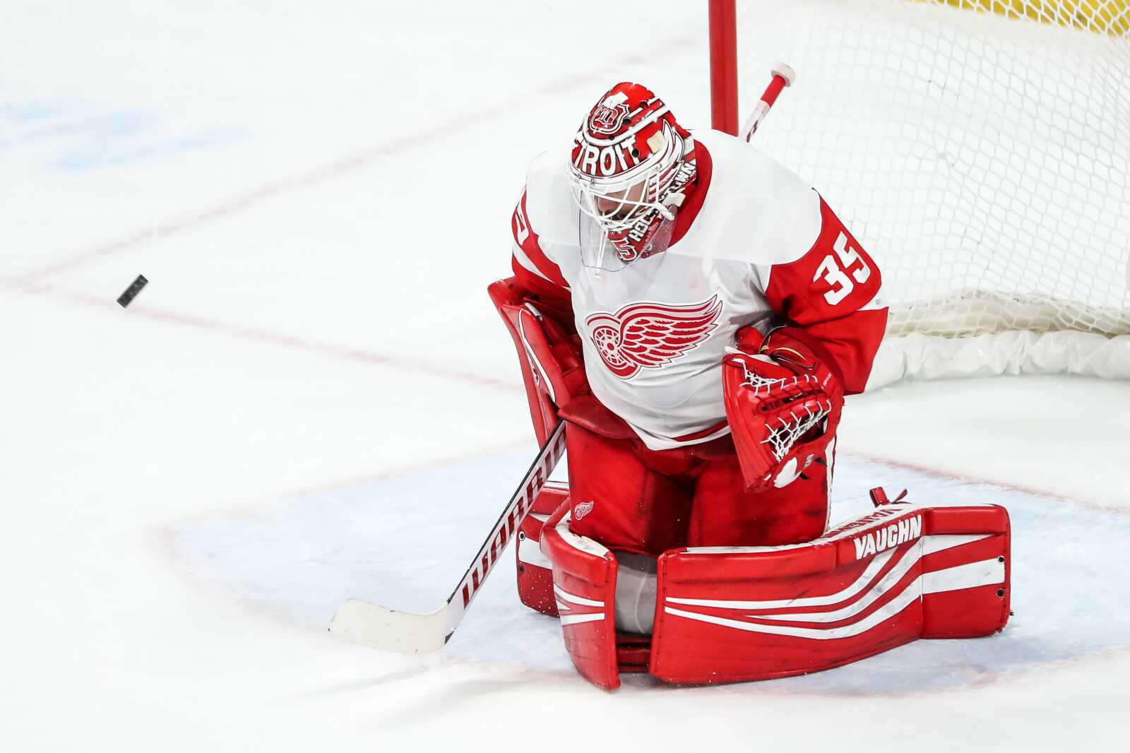 Jimmy Howard Wallpapers (16 images) - WallpaperCat