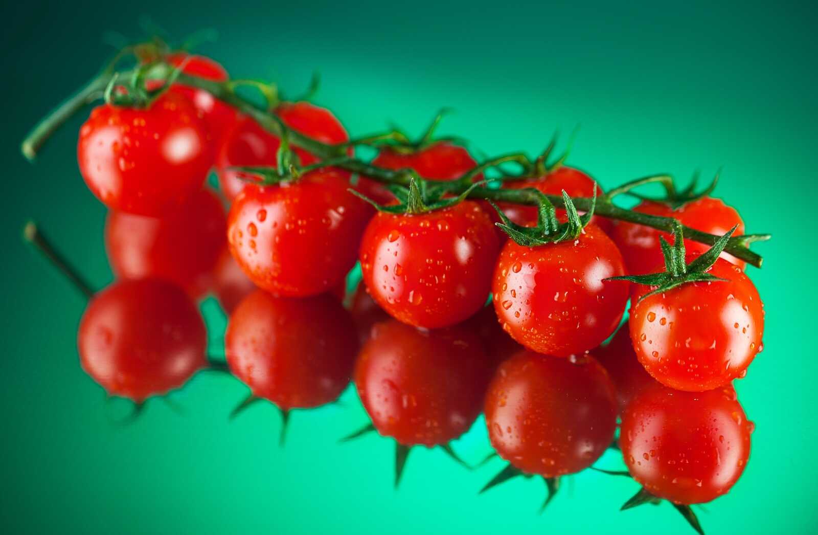 Tomato Wallpapers (70 images) - WallpaperCat