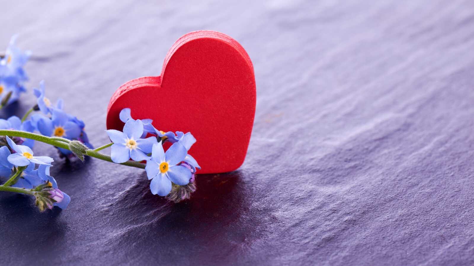 Hearts and Flowers Wallpapers (27 images) - WallpaperCat