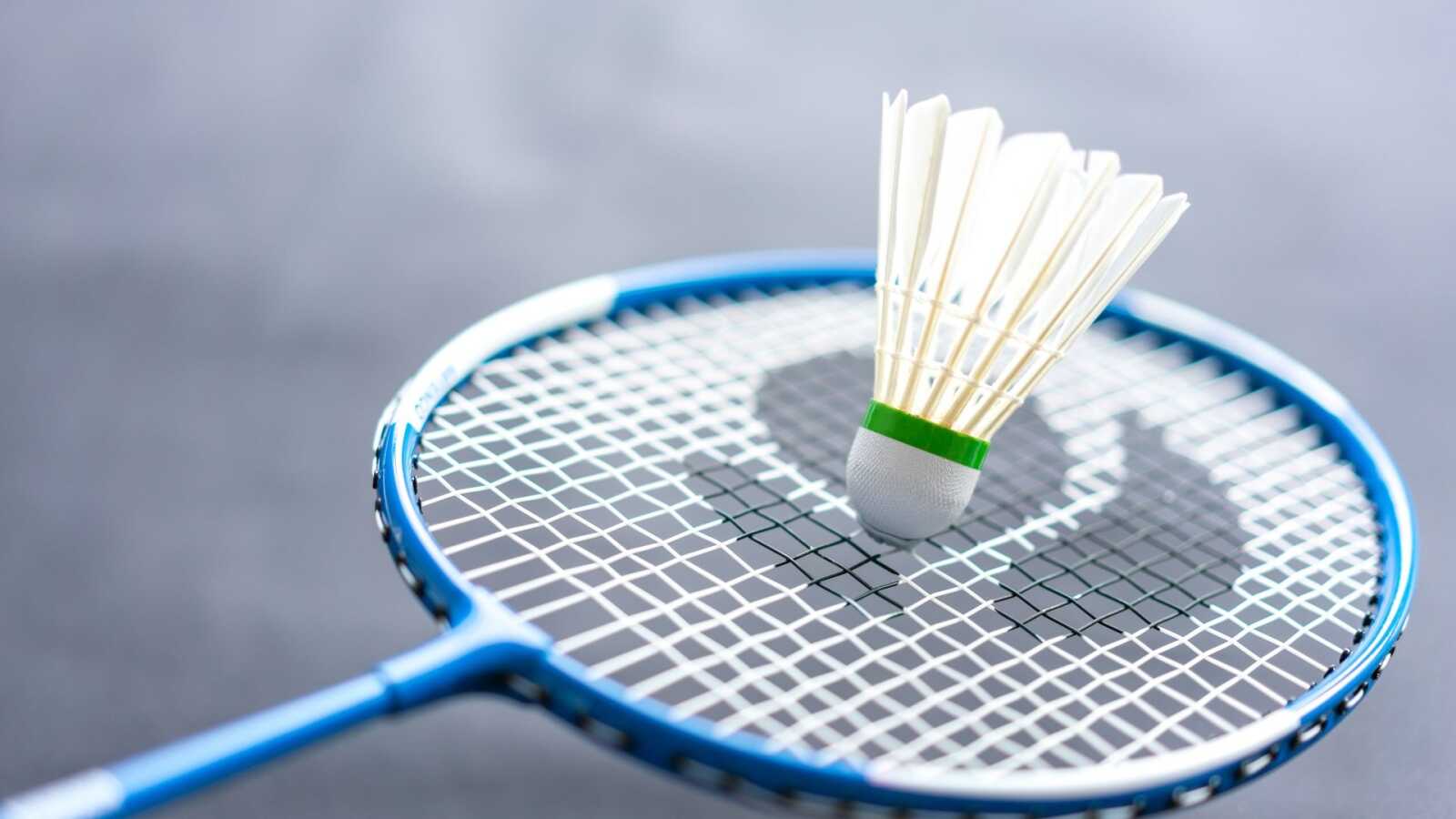 Badminton Wallpapers (32 images) - WallpaperCat