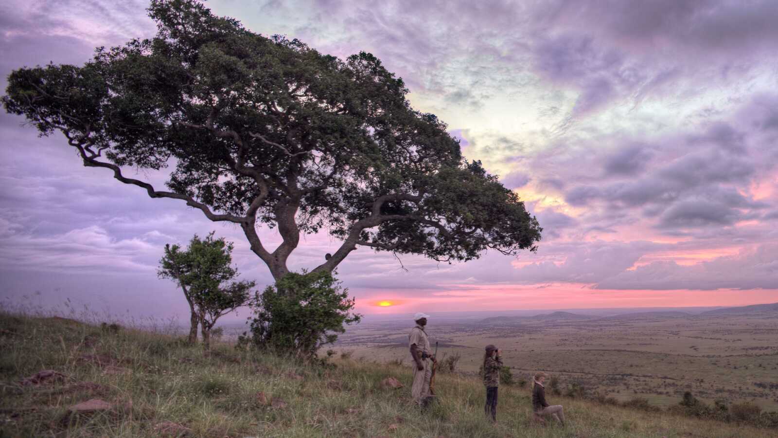 Kenya Wallpapers (40 images) - WallpaperCat