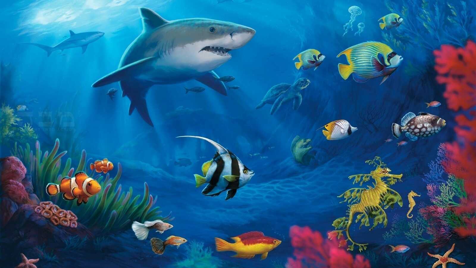 Fish Wallpapers (94 images) - WallpaperCat