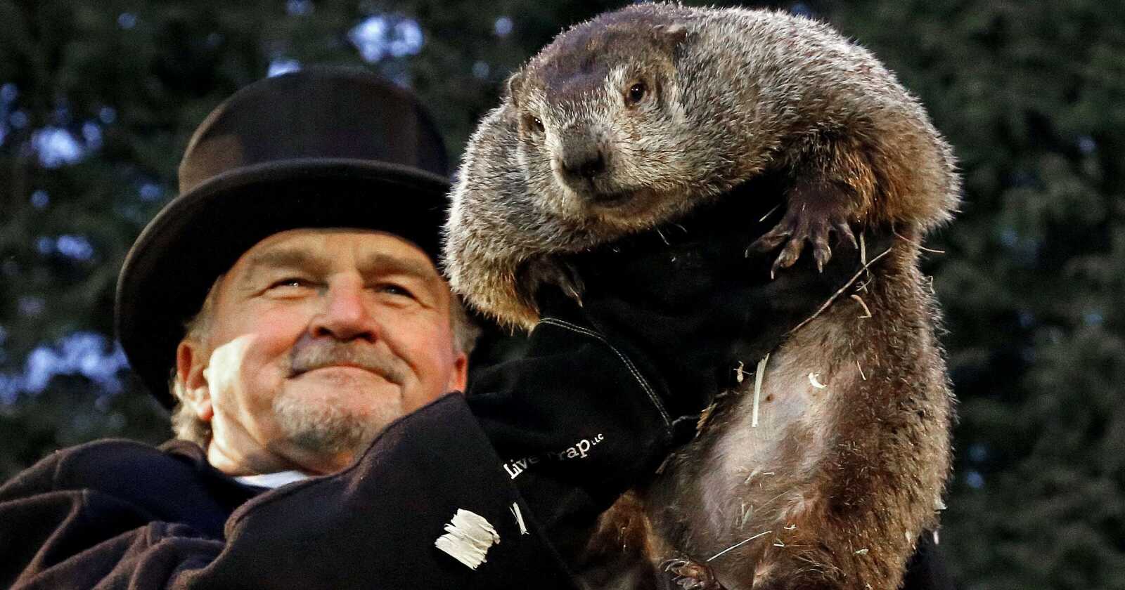 Groundhog Day (Holiday) Wallpapers (38 images) - WallpaperCat