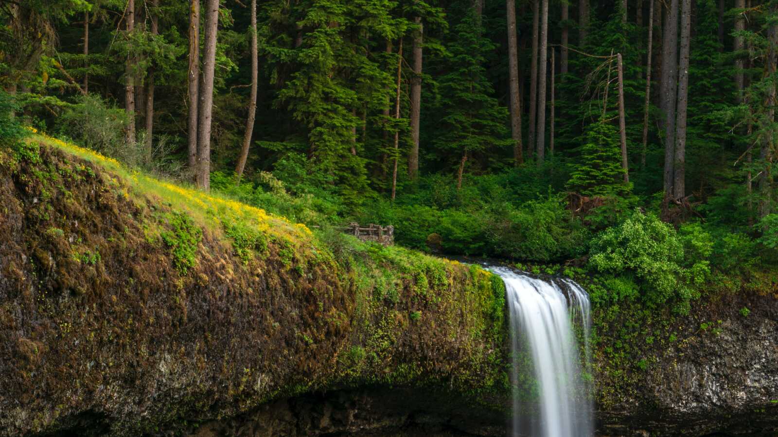 Oregon Wallpapers (45 images) - WallpaperCat