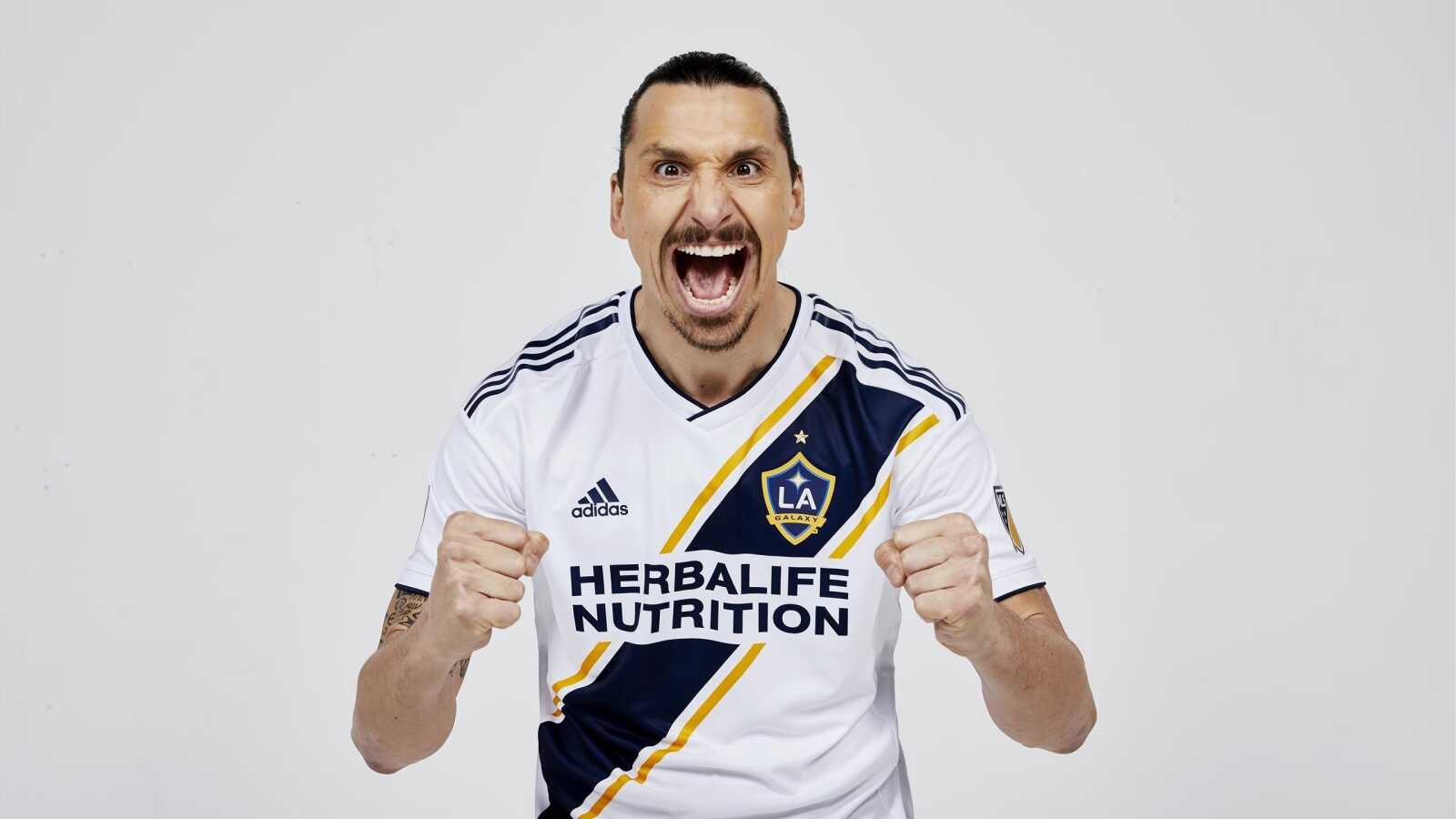 Zlatan Ibrahimovic Wallpapers (54 images) - WallpaperCat
