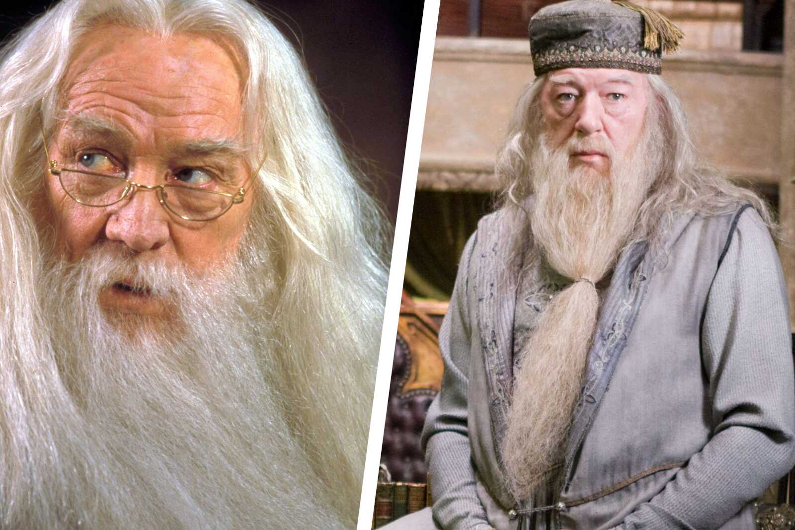 Dumbledore (Richard Harris) Wallpapers (9 images) - WallpaperCat