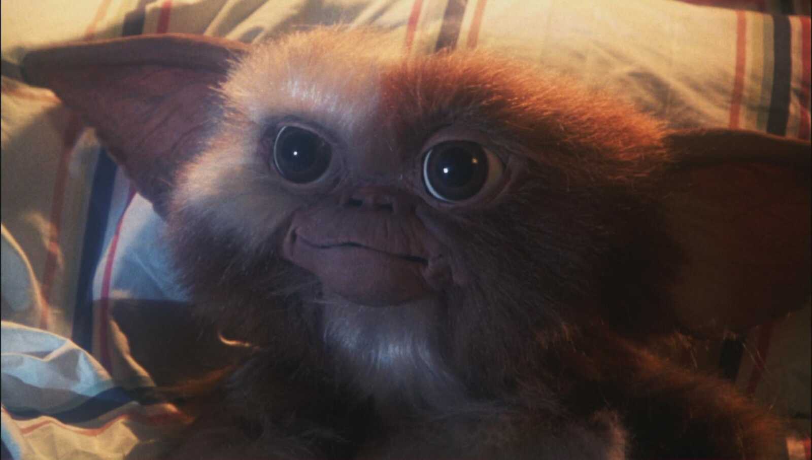 Gremlin Gizmo Wallpapers (26 images) - WallpaperCat