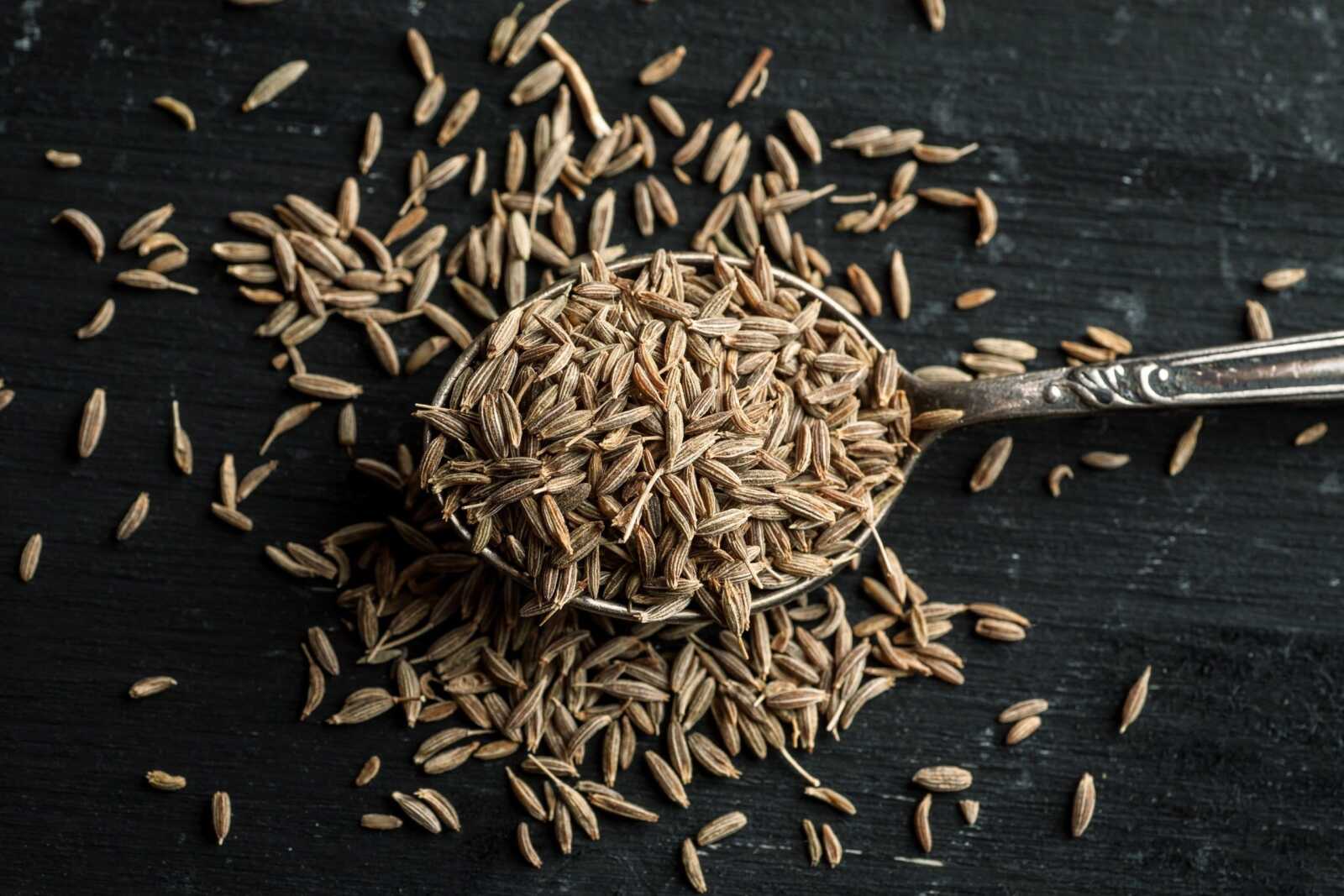 Cumin Wallpapers (16 images) - WallpaperCat